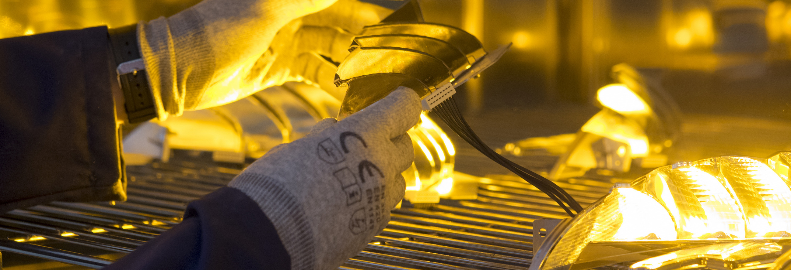 Environmental Impacts - SIQ