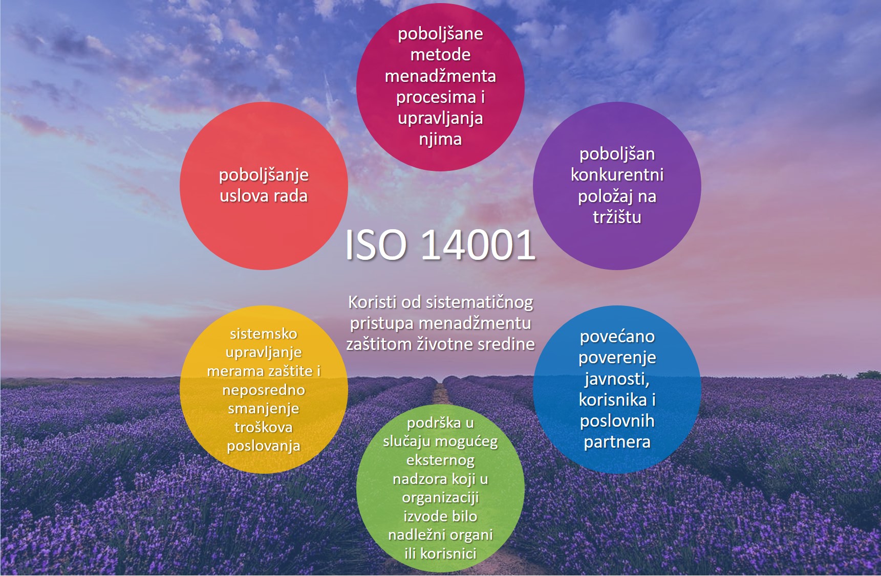 ISO 14001 - SIQ